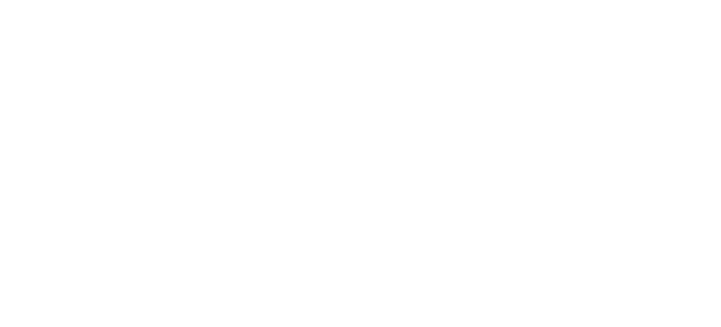 Licenciaturas – Escola Superior de Educação – ESE/IPS