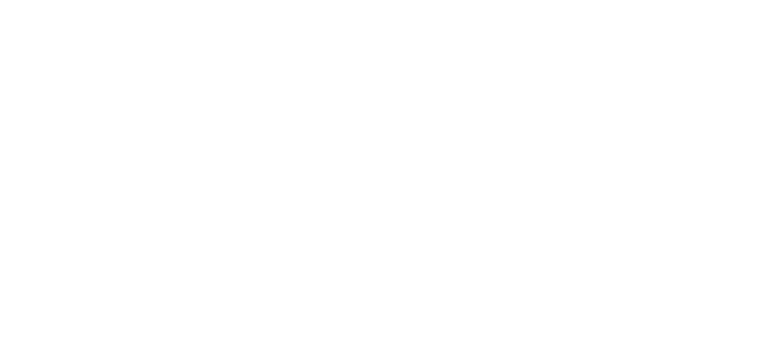 Licenciaturas – Escola Superior de Educação – ESE/IPS