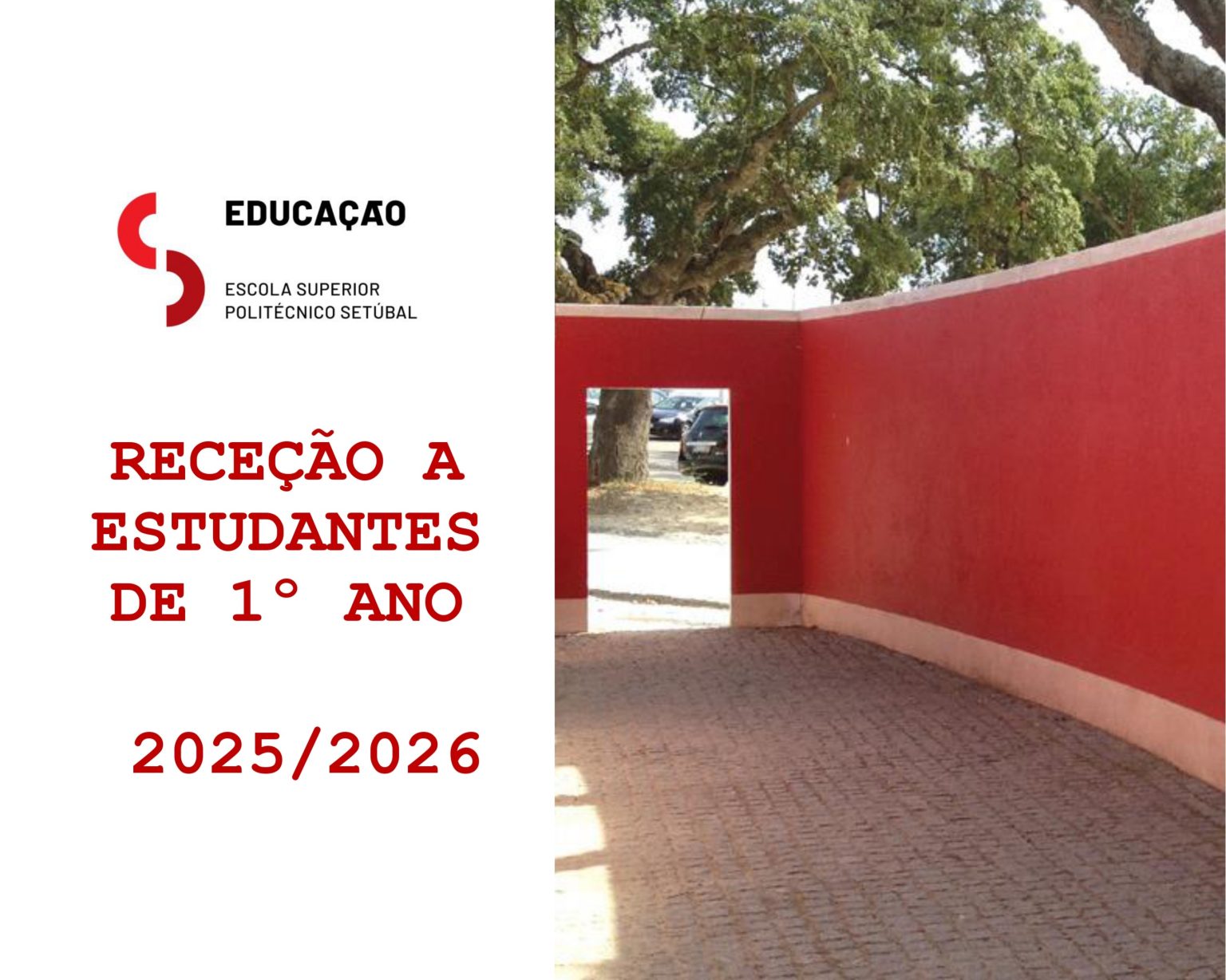 Escola Superior de Educação – ESE/IPS – Uma instituição de ensino ...