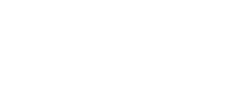 Licenciaturas – Escola Superior de Educação – ESE/IPS